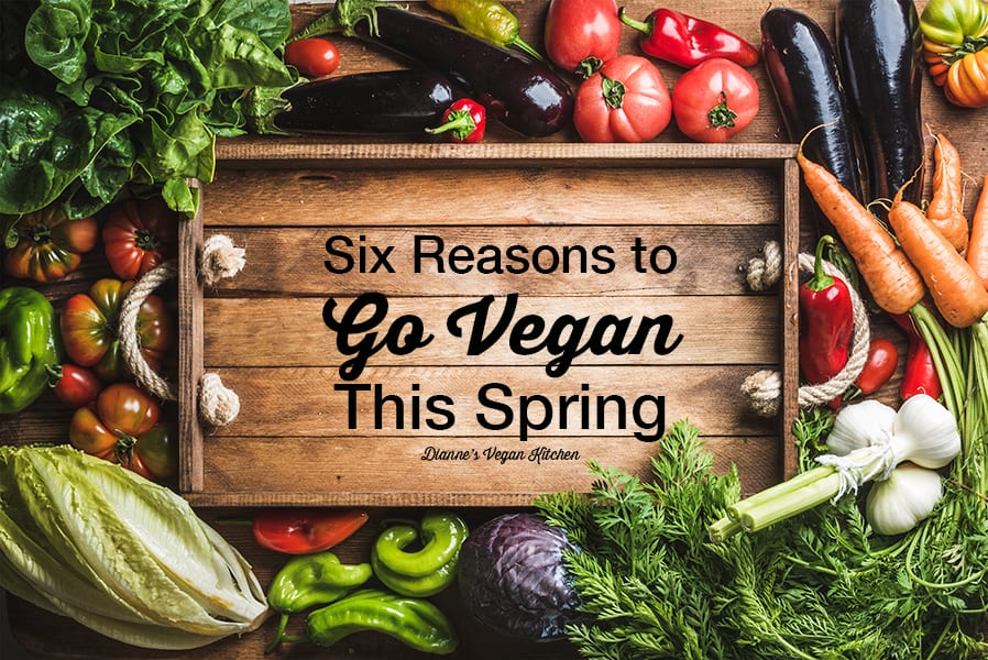 Go Vegan This Spring with these Six Tips – Dianne's Vegan Kitchen