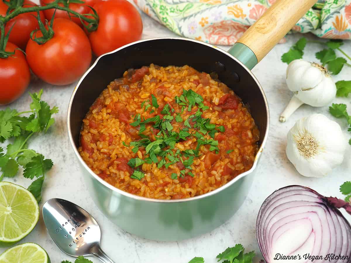 Easy Vegan Spanish Rice Made with Brown Rice – Dianne's Vegan Kitchen